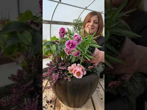 First spring container! Yay! – Garden Answer