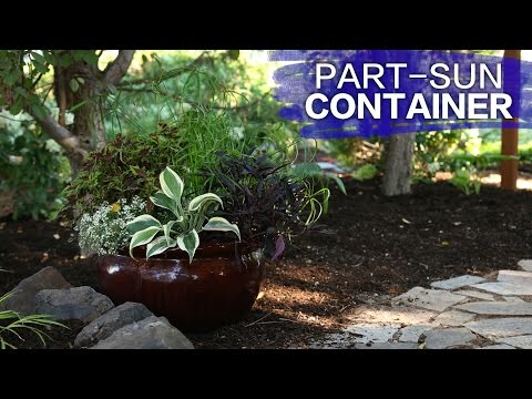 Part Sun Container – Garden Answer