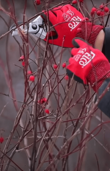 Power Planter Easy Dig Gardener Starter Bundle – Garden Answer