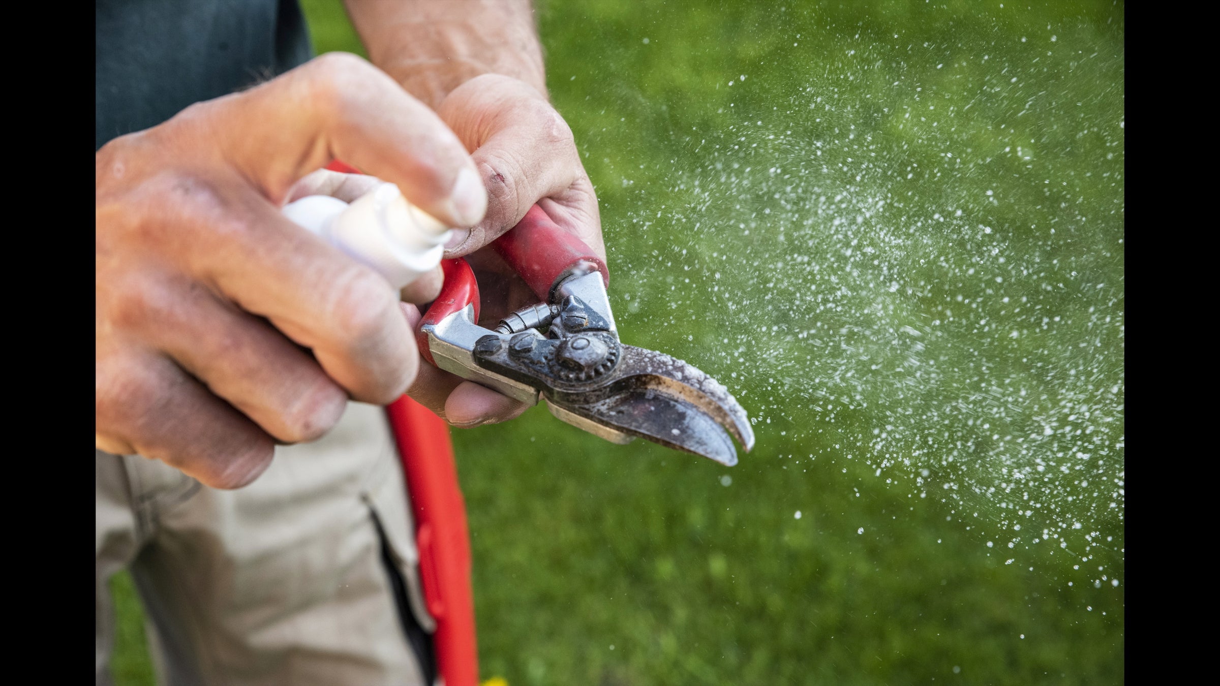 Felco 981 Resin Remover Spray — Garden Answer