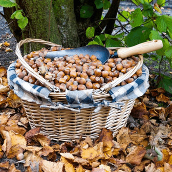 Products – Garden Answer