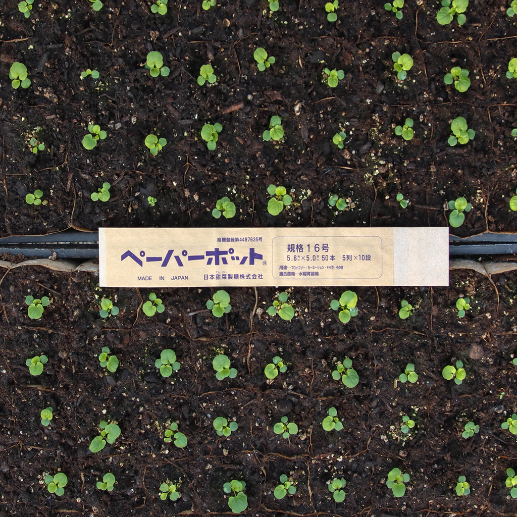 Products — Garden Answer