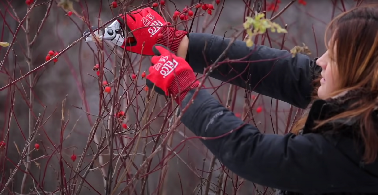 Felco 2 Classic Pruning Shears – Garden Answer