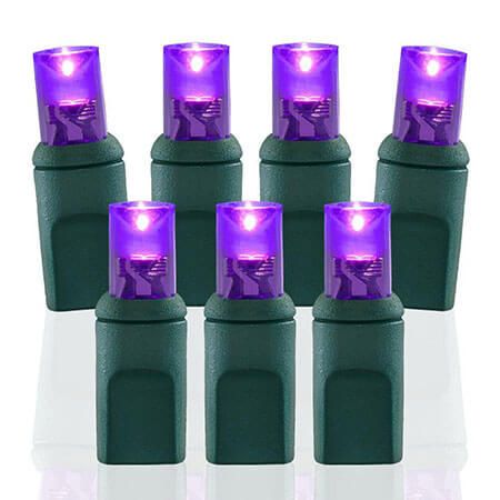 Purple LED Christmas Lights (100 Light) – Garden Answer